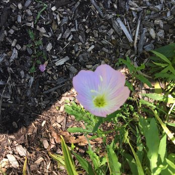 SHAW NATURE RESERVE - Updated October 2025 - 135 Photos & 26 Reviews ...