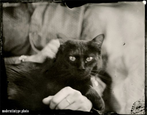 MODERN TINTYPE - Updated June 2024 - 18 Photos & 10 Reviews - Los ...