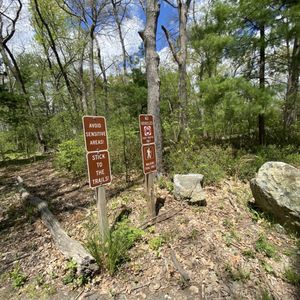 WHIPPLE HILL - Updated June 2025 - 17 Photos - 1625 Massachusetts Ave ...