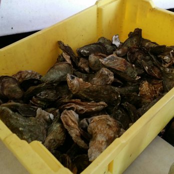 RYER’S LOBSTERS - Updated December 2025 - 57 Photos & 35 Reviews - 8494 ...