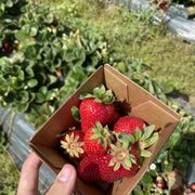 CRYSTAL BAY FARM - 146 Photos & 63 Reviews - 40 Zils Rd, Watsonville ...