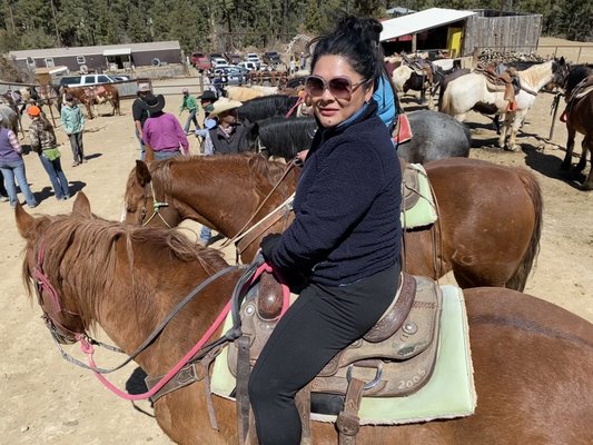 GRINDSTONE STABLES - Updated March 2025 - 58 Photos & 55 Reviews - 523 ...