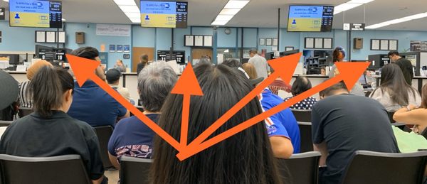 DEPARTMENT OF MOTOR VEHICLES - Updated October 2025 - 81 Photos & 450 ...