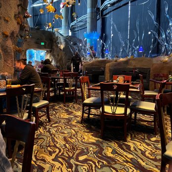 DIVE LOUNGE - Updated December 2025 - 189 Photos & 69 Reviews - 700 ...