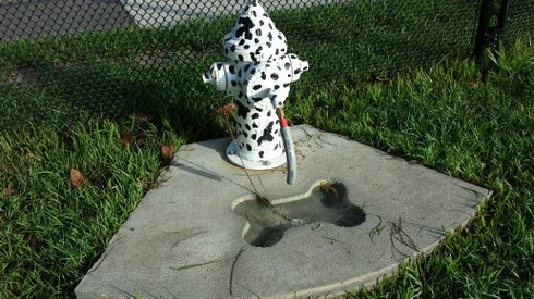 DOG BONE RUN - Updated October 2025 - 201 Highland Ave NE, Largo ...