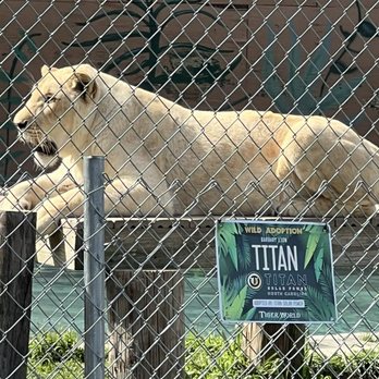 TIGER WORLD - Updated December 2025 - 449 Photos & 120 Reviews - 4400 ...