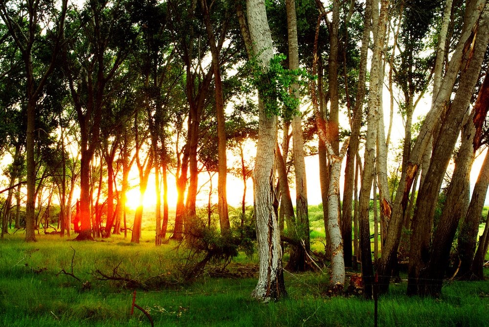 HOLY TRINITY MONASTERY - Updated December 2025 - 34 Photos - Saint ...