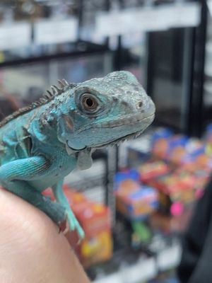 TROPICAL OASIS FISH AND PETS - Updated December 2025 - 1115 9th St E ...