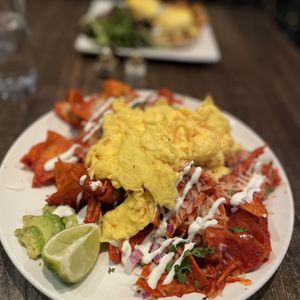 BRUCEDOG - Updated December 2025 - 98 Photos & 70 Reviews - 5975 W ...