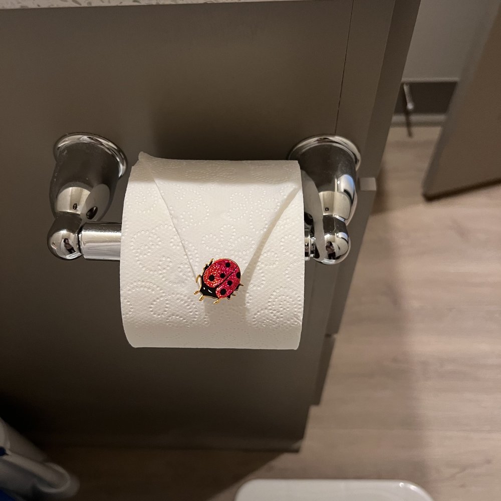 LADYBUG’S CLEANING SERVICE - Updated June 2024 - Spring, Texas - Home ...