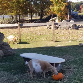 SALISBURY FARM - Updated January 2026 - 103 Photos & 37 Reviews - 11 ...