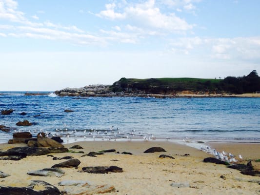 LITTLE BAY BEACH - Updated November 2025 - 10 Photos - Little Bay New ...