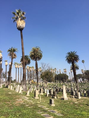 ANGELUS ROSEDALE CEMETERY - 107 Photos & 39 Reviews - 1831 W Washington ...