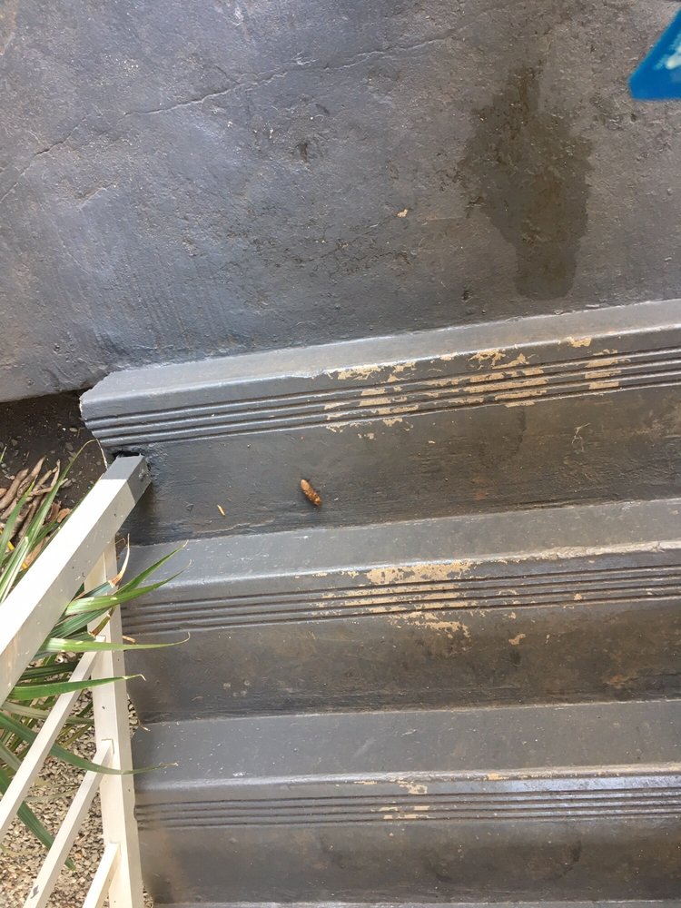 KAM IV APARTMENTS - Updated January 2026 - 1531 Kamehameha Iv Rd ...