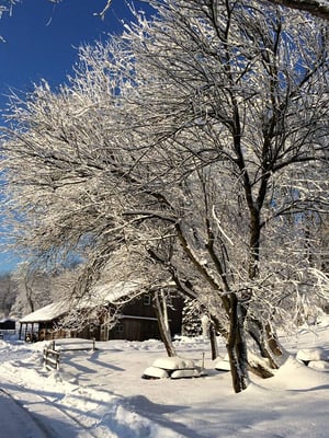 SUNSET VALLEY FARM - Updated January 2026 - 40 Photos - 880 Valley ...