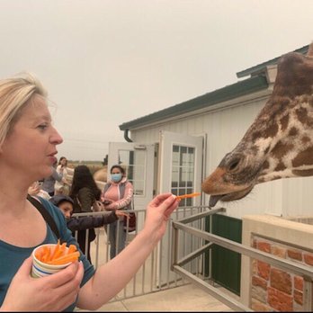 GOEBBERT’S FARM - Updated April 2025 - 331 Photos & 185 Reviews ...