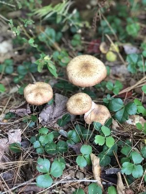 QUINCY BOG NATURAL AREA - Updated January 2025 - 29 Photos - 131 Quincy ...