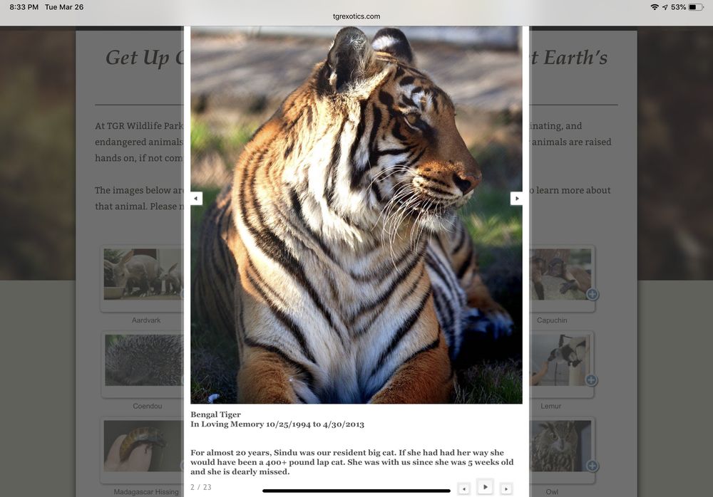TGR EXOTICS WILDLIFE PARK - 99 Photos & 43 Reviews - Zoos - 22115 ...