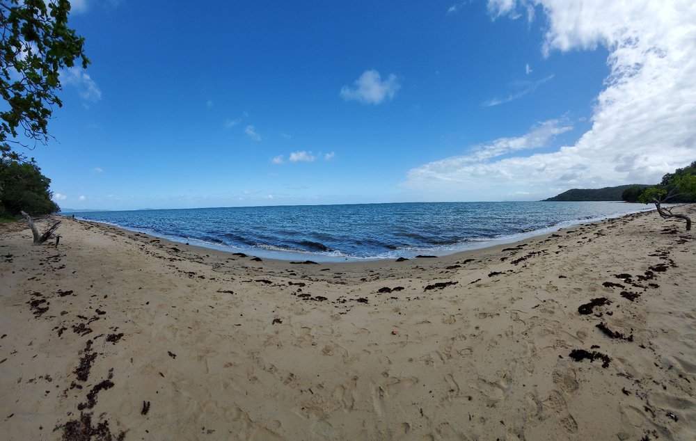 WONGA BEACH - Updated April 2024 - 17 Yarun Cl, Wonga Queensland ...