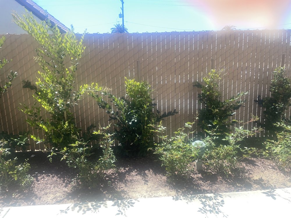 OCEAN RIDGE POST ACUTE - Updated September 2024 - 3850 E. Esther St ...