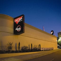 CHEETAH LOUNGE - Updated December 2025 - 128 Photos & 196 Reviews - 887 ...