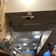 SCHEELS - 150 Photos & 171 Reviews - Sporting Goods - 11282 S State St ...