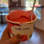 MOLLY MOON’S HOMEMADE ICE CREAM - 2109 Photos & 2145 Reviews - 917 E ...