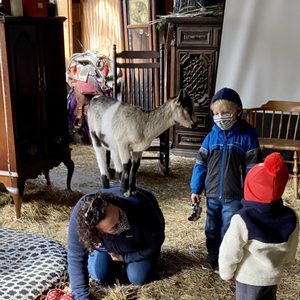 ROSE BRIDGE FARM & SANCTUARY - 65 Photos & 20 Reviews - Horseback ...