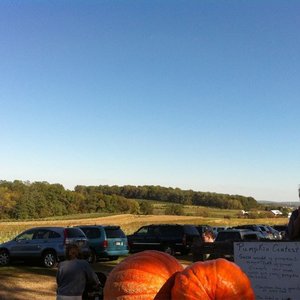 GOGLE FARMS - Updated July 2025 - 34 Photos - 5017 Mulberry St, Coplay ...