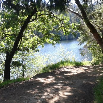 Lake Lagunitas - 85 Photos & 24 Reviews - Hiking - Lagunitas Dam Rd ...
