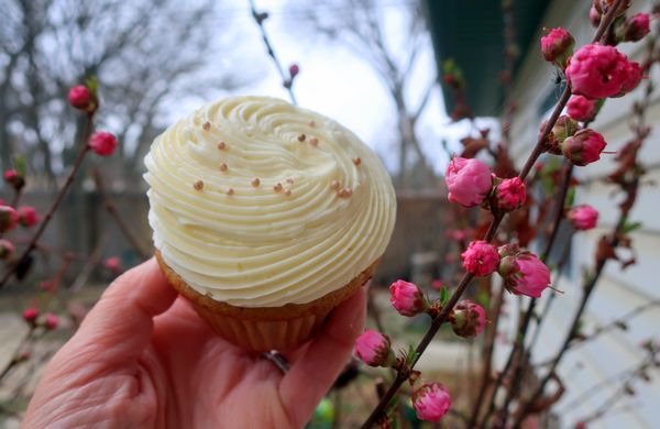 CRAVE CUPCAKES - Updated May 2025 - 80 Photos & 65 Reviews - 7929 104 ...