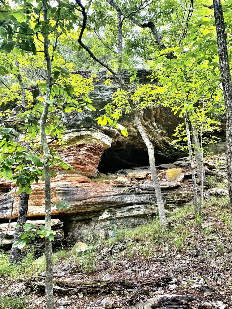 RAMBLE RIDGE CAMPGROUND - Updated October 2025 - 17 Photos - 419 ...