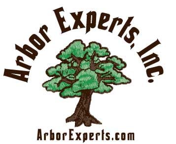 ARBOR EXPERTS - Updated October 2025 - 2486 Monaco Ter, Palm Beach ...