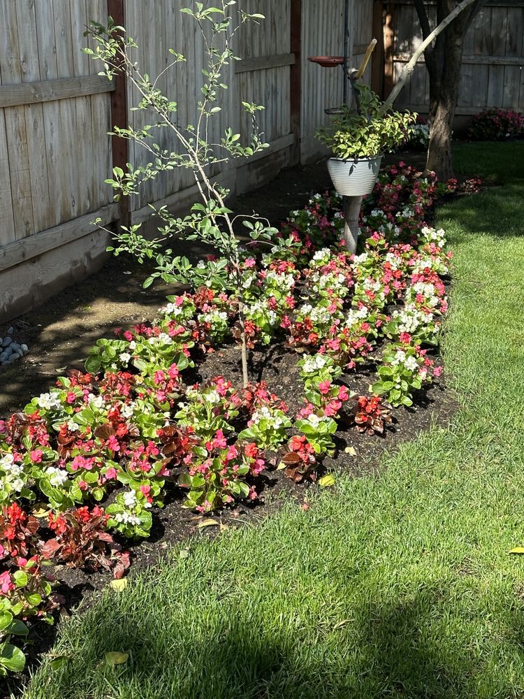 ERIC BLUNT LANDSCAPE - Updated November 2024 - 17 Photos - 639 Quady Ln ...