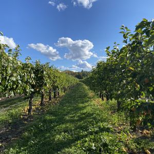 BELKIN FAMILY LOOKOUT FARM - 185 Photos & 275 Reviews - 89 Pleasant St ...