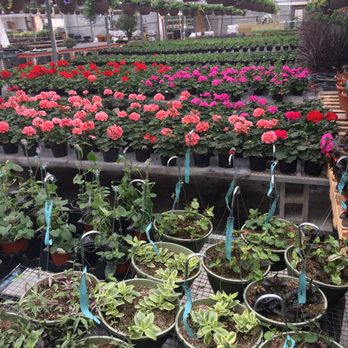 PARKVIEW GARDENS FLORIST & GREENHOUSE - Updated November 2024 - 52 ...