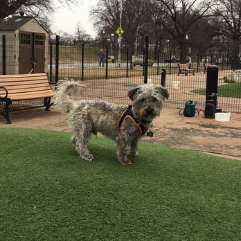 PATTERSON DOG PARK - Updated September 2025 - 75 Photos & 18 Reviews ...