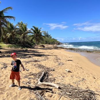 PIÑONES - Updated December 2025 - 164 Photos & 81 Reviews - Campamento ...