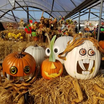 SECOR FARMS - Updated February 2025 - 244 Photos & 81 Reviews - 168 ...