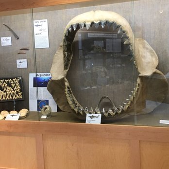 MACE BROWN MUSEUM OF NATURAL HISTORY - Updated October 2025 - 116 ...