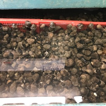 TRI OCEAN - Updated June 2025 - 47 Photos & 19 Reviews - 903 S Federal ...