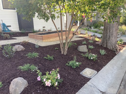 CREST LANDSCAPE - Updated May 2024 - 232 Photos & 32 Reviews - 4300 ...