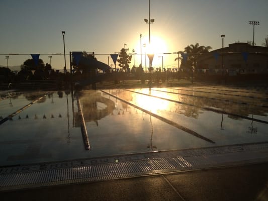 PAUL NELSON AQUATICS - Updated October 2025 - 10 Reviews - 516 S ...