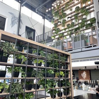 PROVISION - Updated April 2025 - 635 Photos & 207 Reviews - 711 E ...