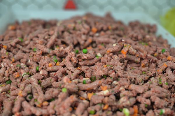 ATHLETIC K9 RAW DOG FOOD - Updated March 2025 - Request Information ...