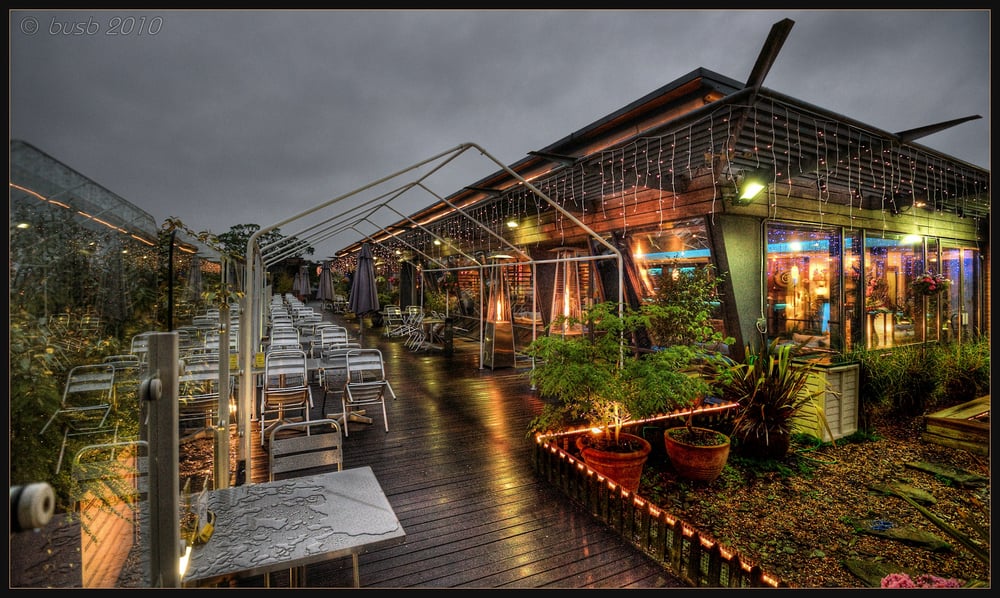 THE THAI TERRACE - Updated June 2024 - 16 Photos & 25 Reviews ...