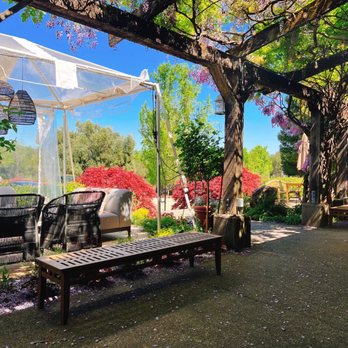 LAMBERT BRIDGE WINERY - Updated December 2025 - 184 Photos & 211 ...