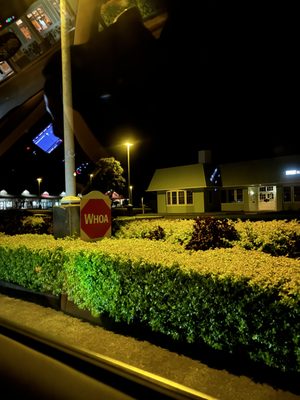 WAIMEA CENTER - Updated May 2025 - 16 Photos - 65-1158 Mamalahoa Hwy ...