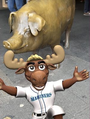 RACHEL THE PIG - Updated October 2025 - 169 Photos & 121 Reviews - 93 ...