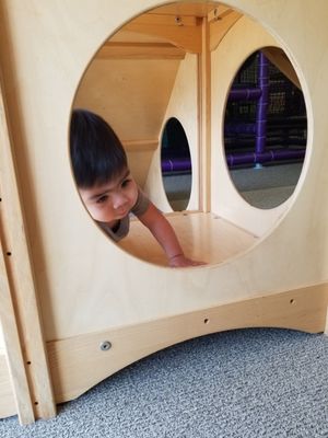 THE LITTLE POD - Updated July 2025 - 59 Photos & 47 Reviews - 1218 ...